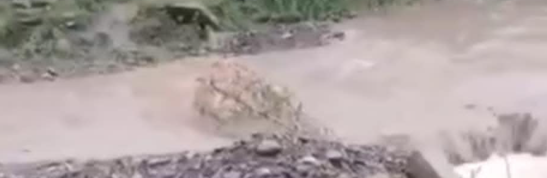 Без доріг і транспорту: частина Франківщини відрізана від світу через негоду (ФОТО). Новини ...